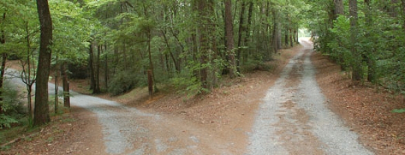 Atajos Netbeans – wakicode